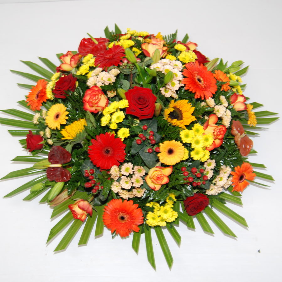 COUSSIN ROND COLORÉ - Livraison Toulouse - Calypso Fleurs