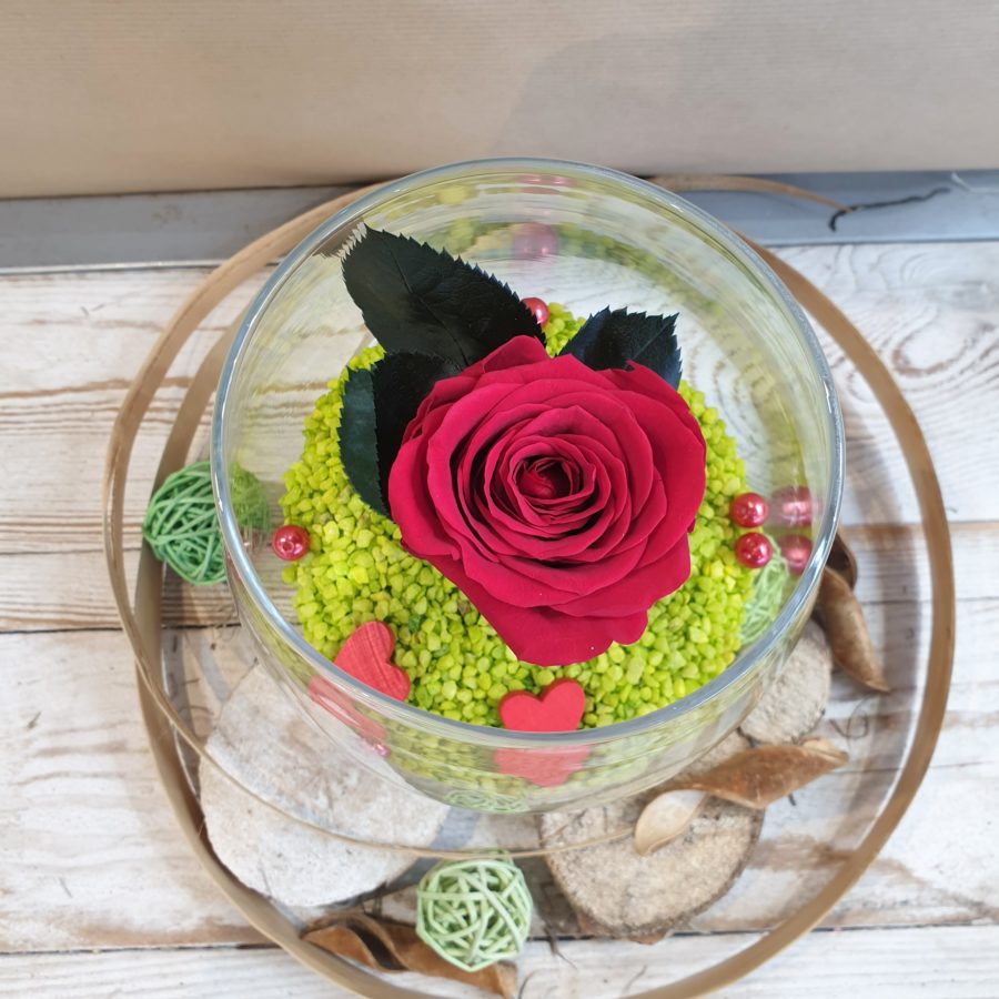 COMPOSITION DE ROSES ÉTERNELLES "TENDRESSE" - Livraison Toulouse ...