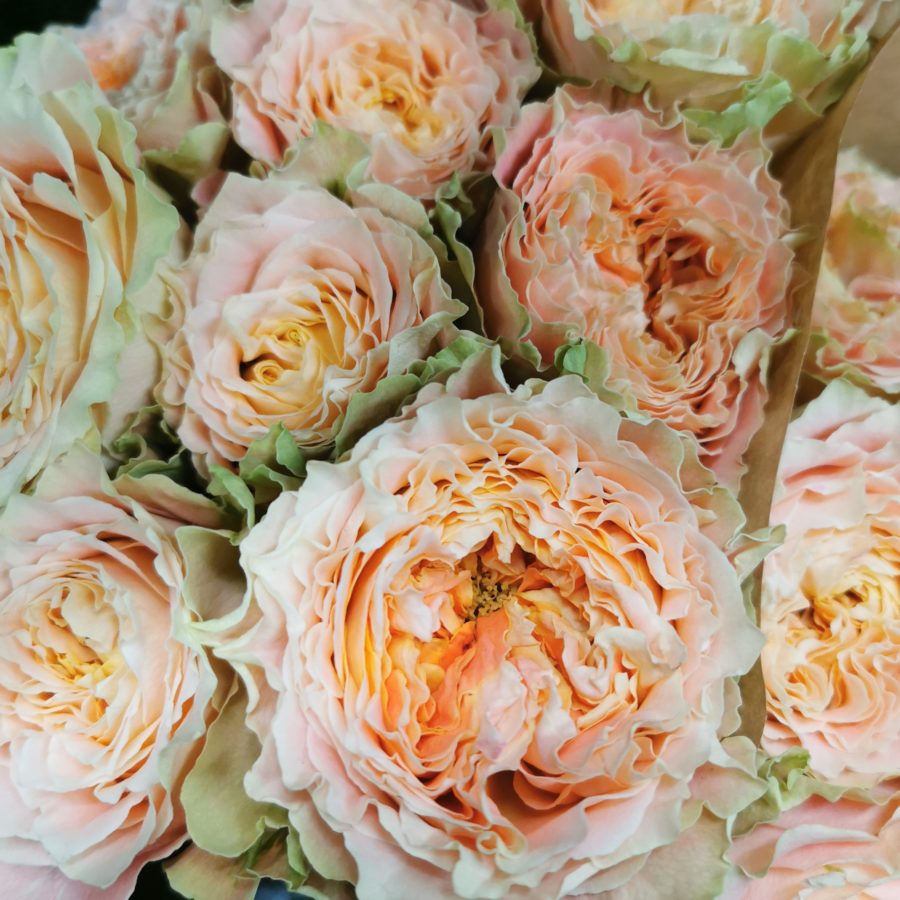 Bouquet de GRANDES Roses COUNTRY SPIRIT LOUISE et FEUILLAGE - Livraison ...