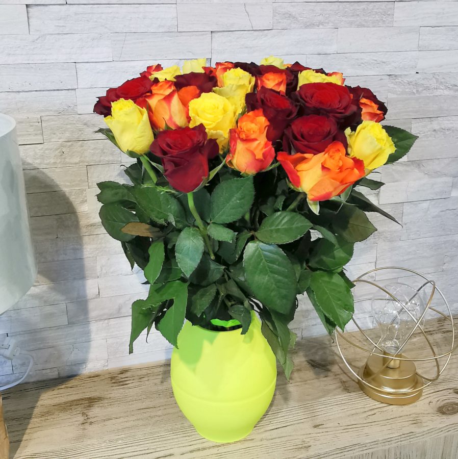 Bouquet de PETITES roses "COLORÉES" - Livraison Toulouse - Calypso Fleurs
