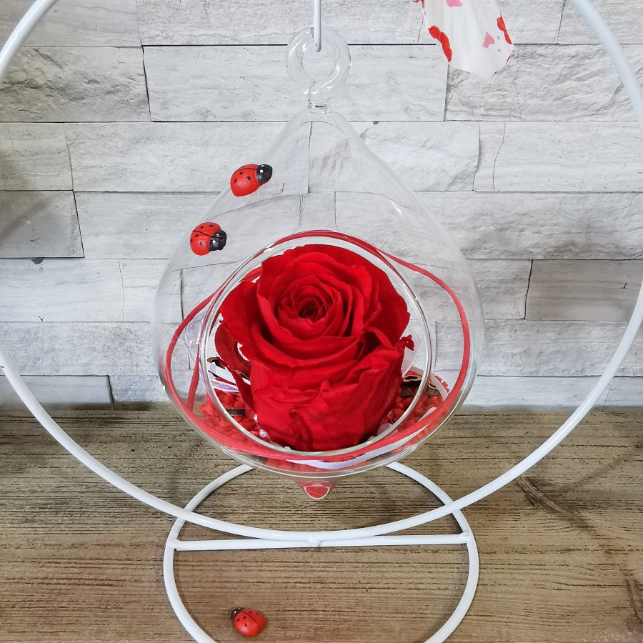 COMPOSITION DE ROSES ÉTERNELLES "FRISSON" - Livraison Toulouse ...