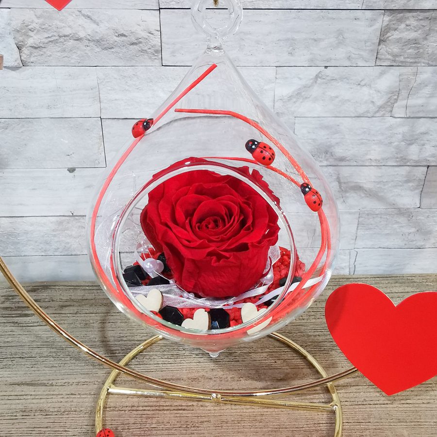 COMPOSITION DE ROSES ÉTERNELLES "FRISSON" - Livraison Toulouse ...