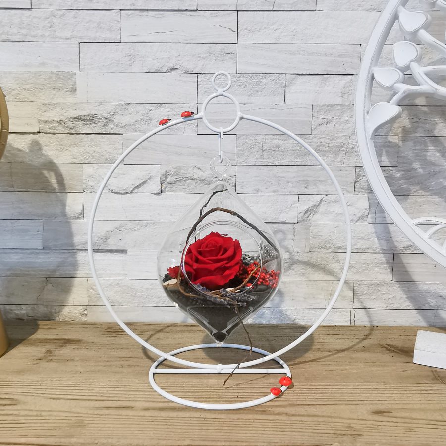 COMPOSITION DE ROSES ÉTERNELLES "FRISSON" - Livraison Toulouse ...